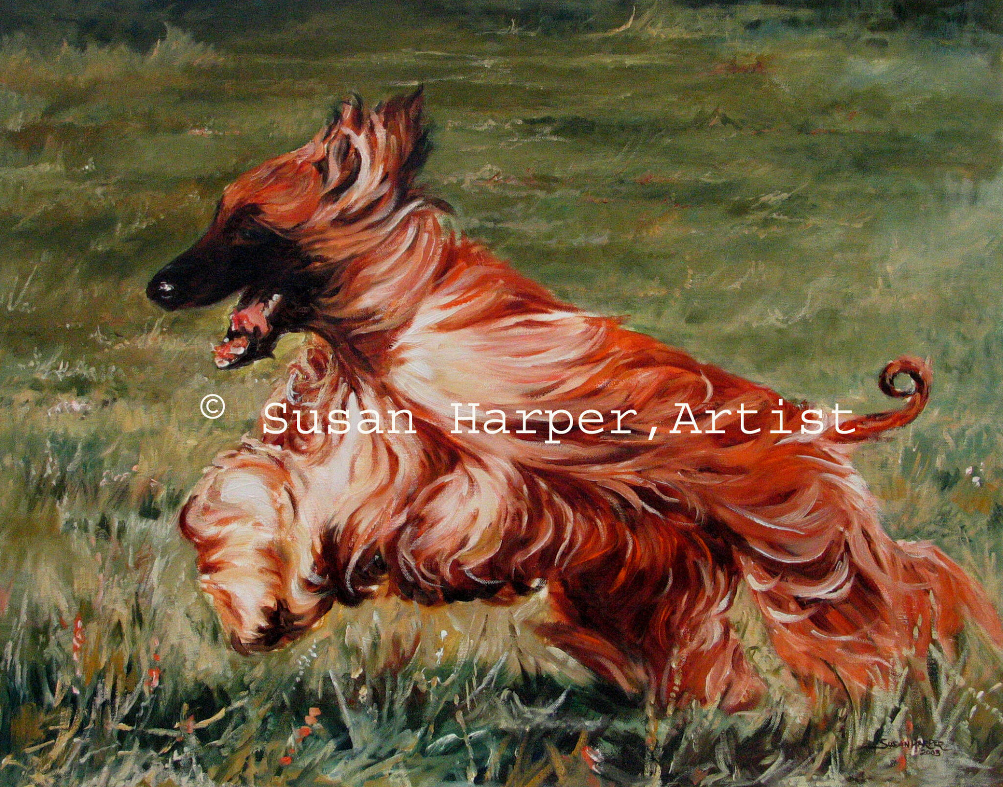 Susan Harper Art-Portraits - Prints of Original Paintings of Dogs